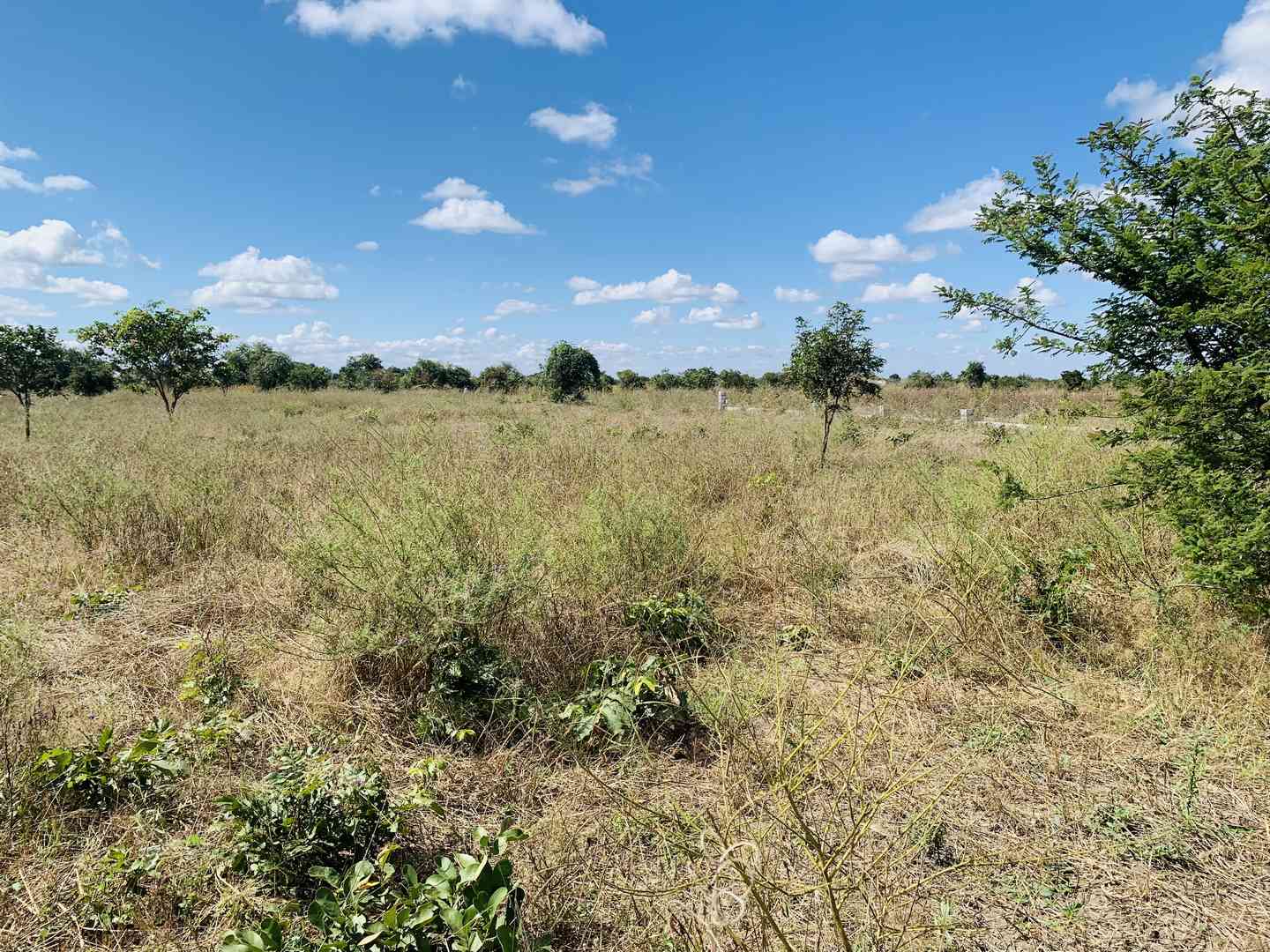 Real Estate Listings in Zambia | Buy, Sell, Rent Properties