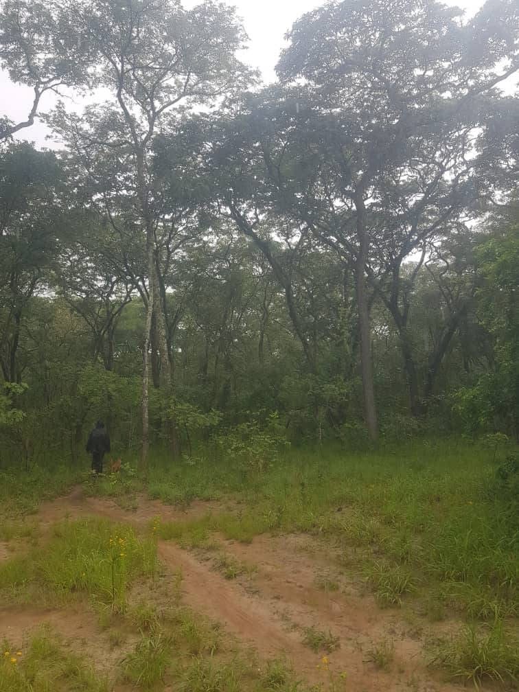 Real Estate Listings in Zambia | Buy, Sell, Rent Properties