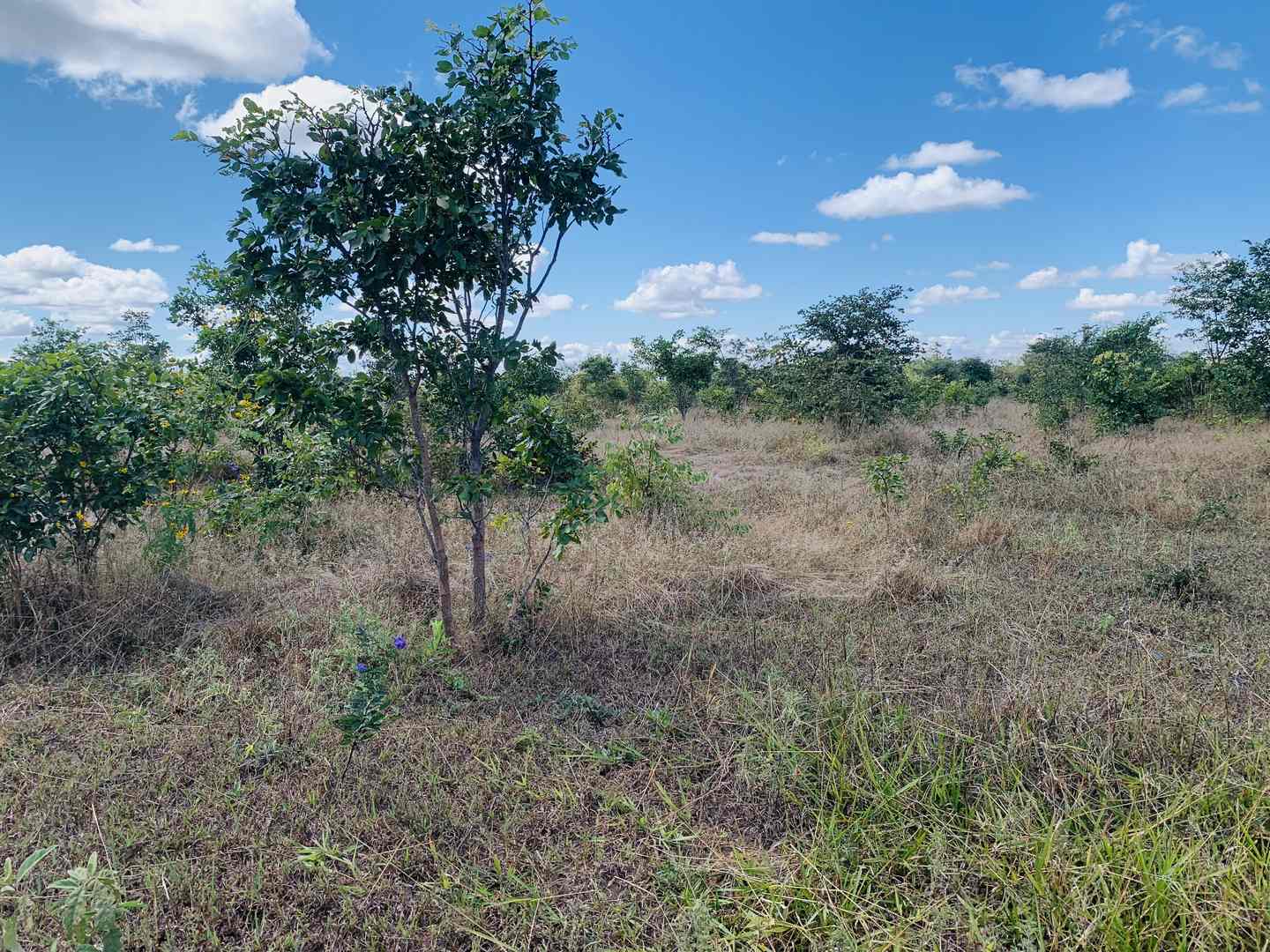 Real Estate Listings in Zambia | Buy, Sell, Rent Properties