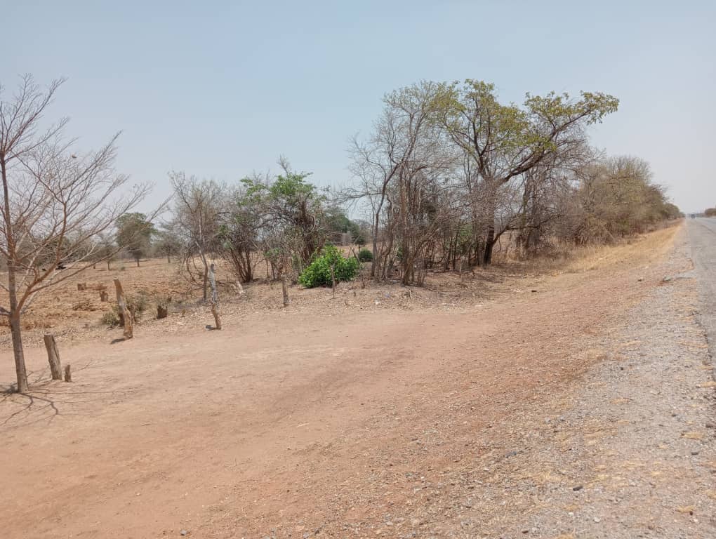 Real Estate Listings in Zambia | Buy, Sell, Rent Properties