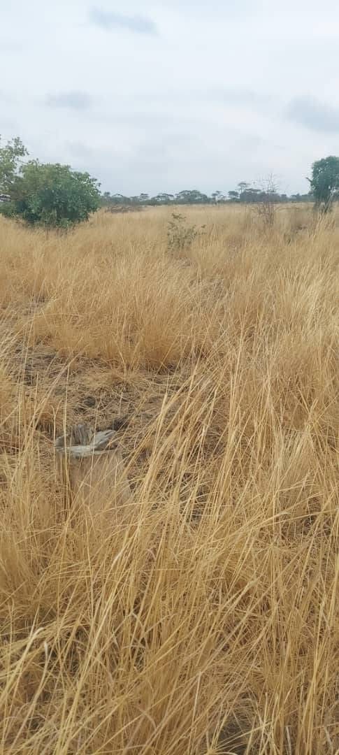 Real Estate Listings in Zambia | Buy, Sell, Rent Properties