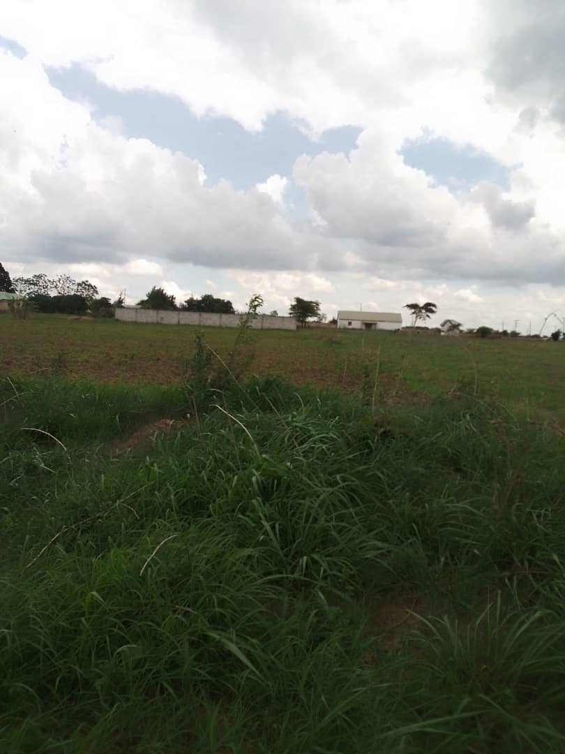 Properties Details | Ronzad Online Properties